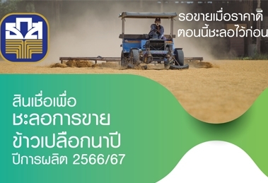 บริการและผลิตภัณฑ์